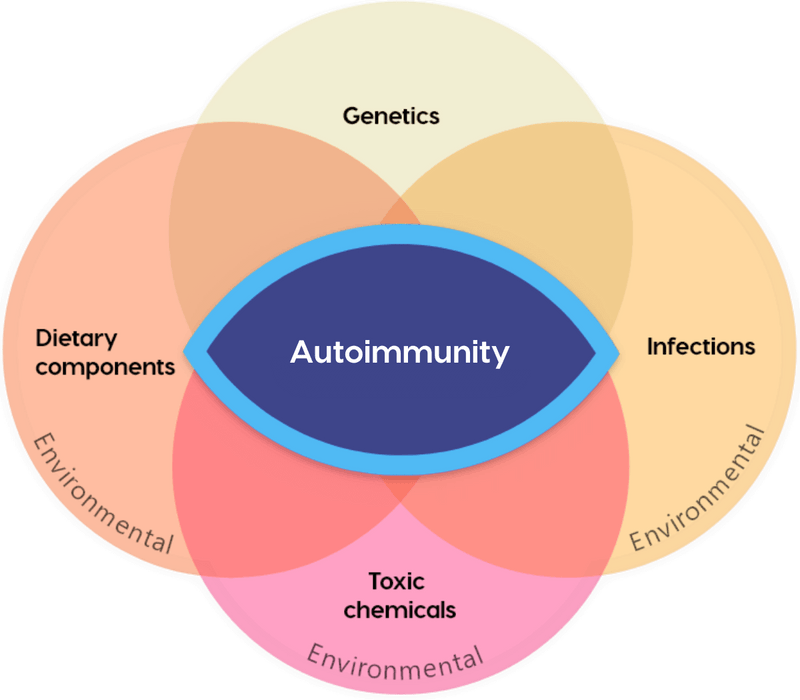 MyImmunity Balance™ for Autoimmunity | Official Site